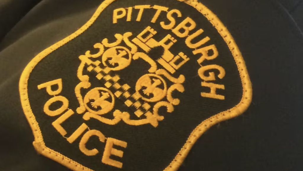 Criminologist: 'Stop, Question, Frisk' May Curb Pittsburgh Gun Violence ...