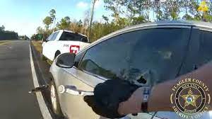 Video: Florida Deputy Breaks Car Window to Save Driver - Law ...